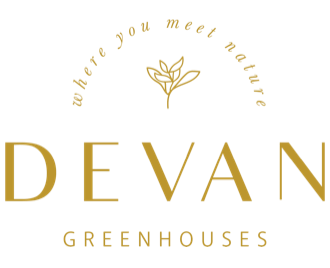 Cut Flowers – Devan Greenhouses Ltd.
