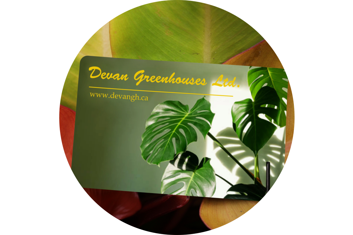 Devan Greenhouses Ltd. – Growing with a Difference