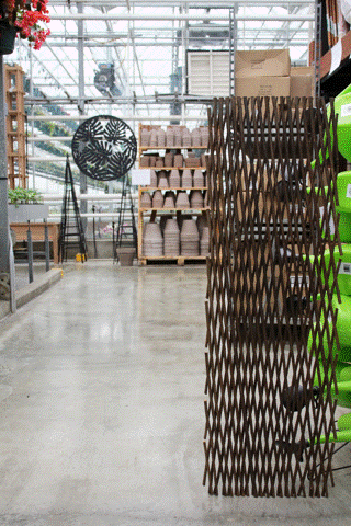 Specials – Devan Greenhouses Ltd.